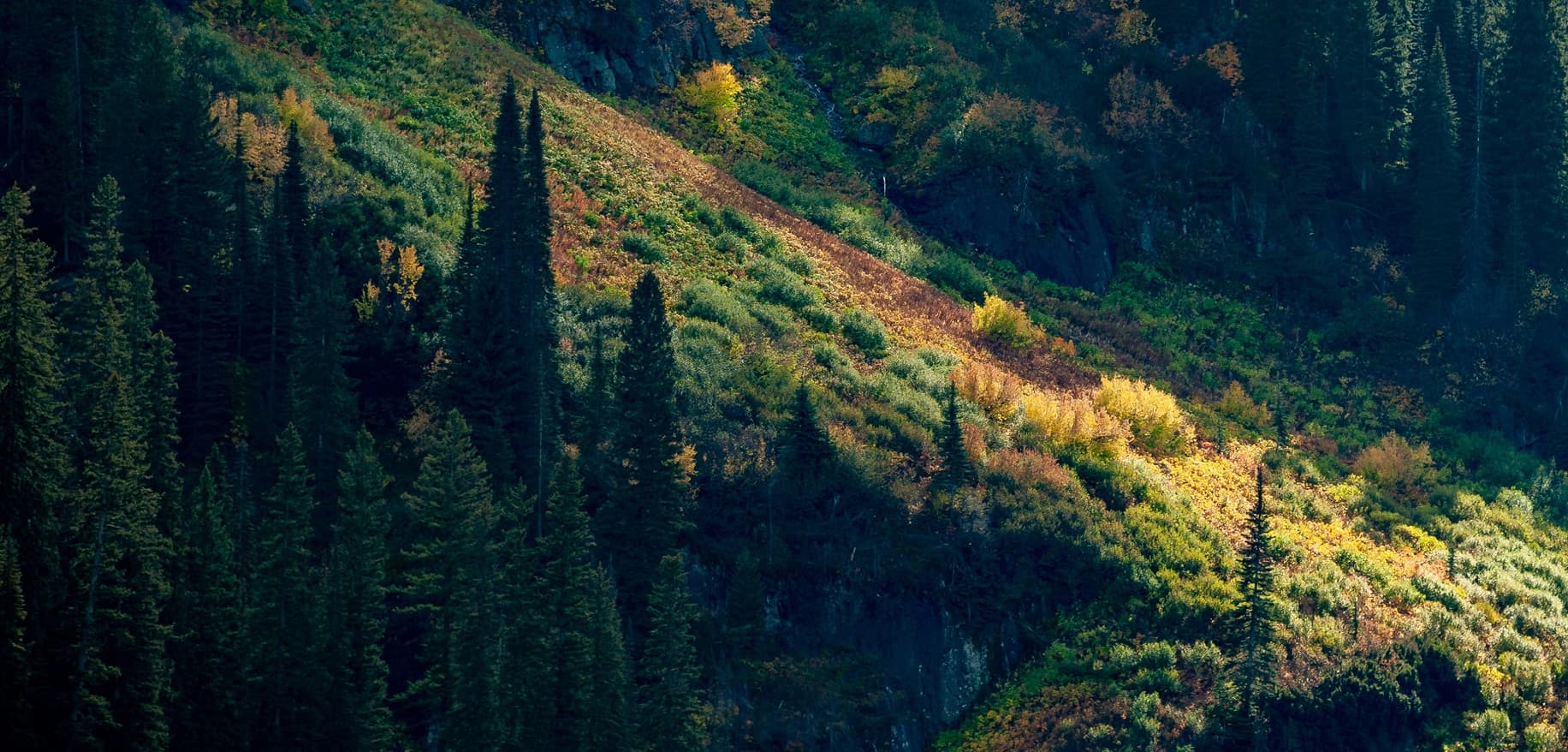 Mission Underwriters Backs Launch of Multi-Class MGA, Carrow Insurance ...